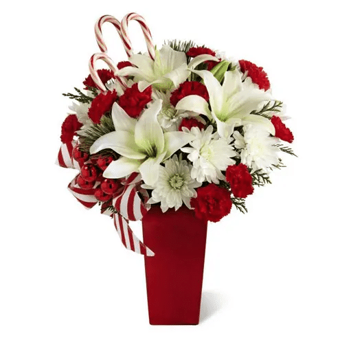 Our 25 Favorite Christmas Flowers, Wreaths and Mini Trees | Flower Glossary