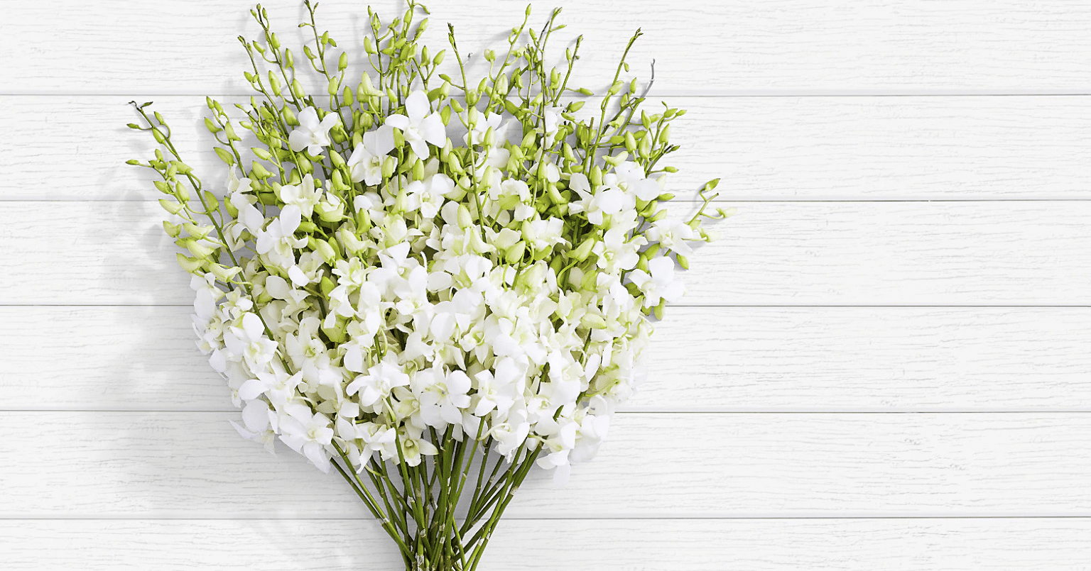 10 Colorful & Classic Easter Flower Bouquets | Flower Glossary